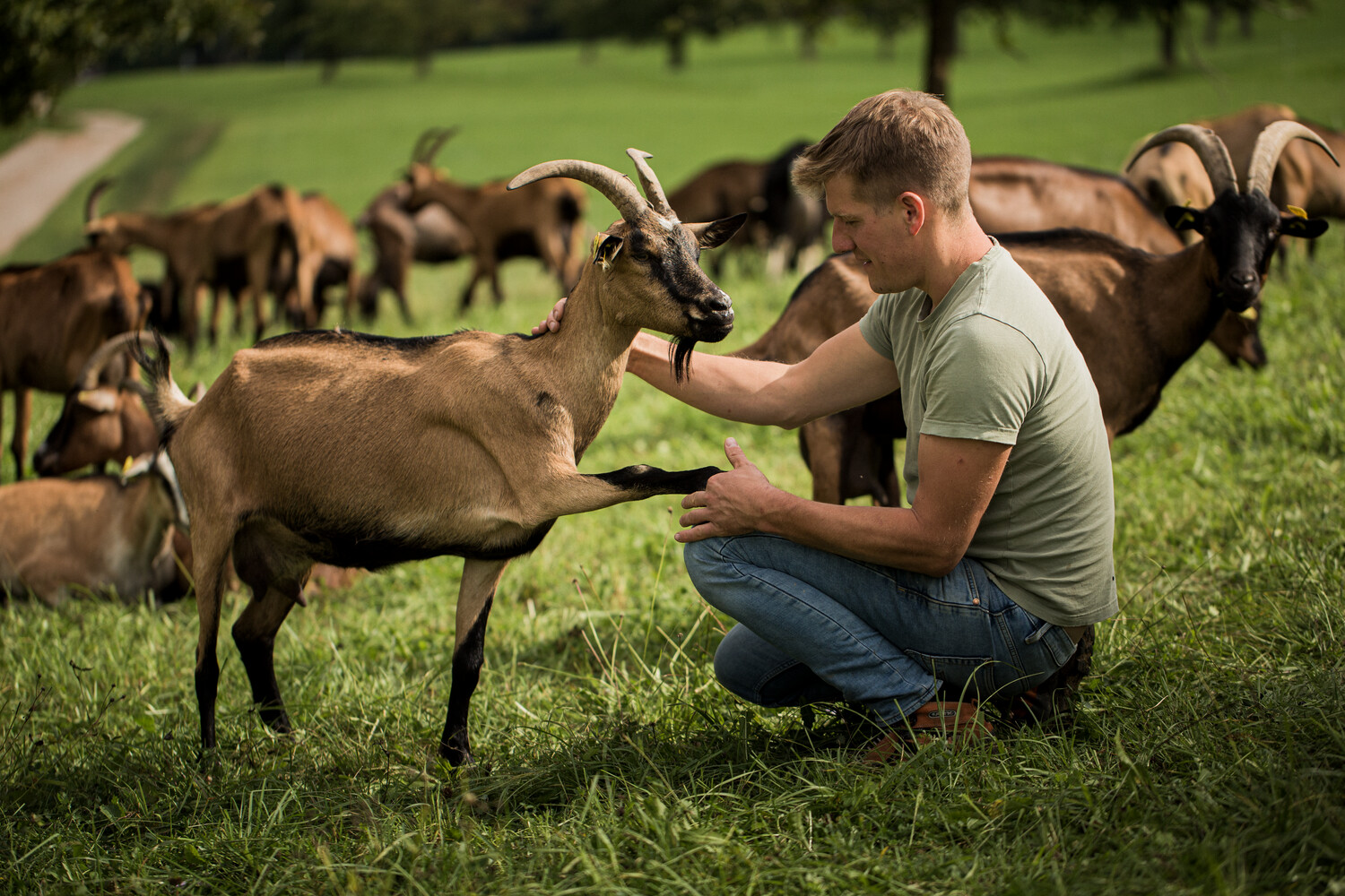 Respect de l'animal - Demeter France