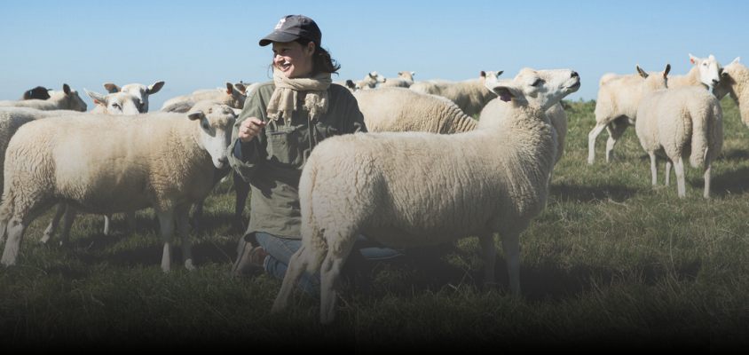 Fédération Biodynamique Demeter International - Demeter France